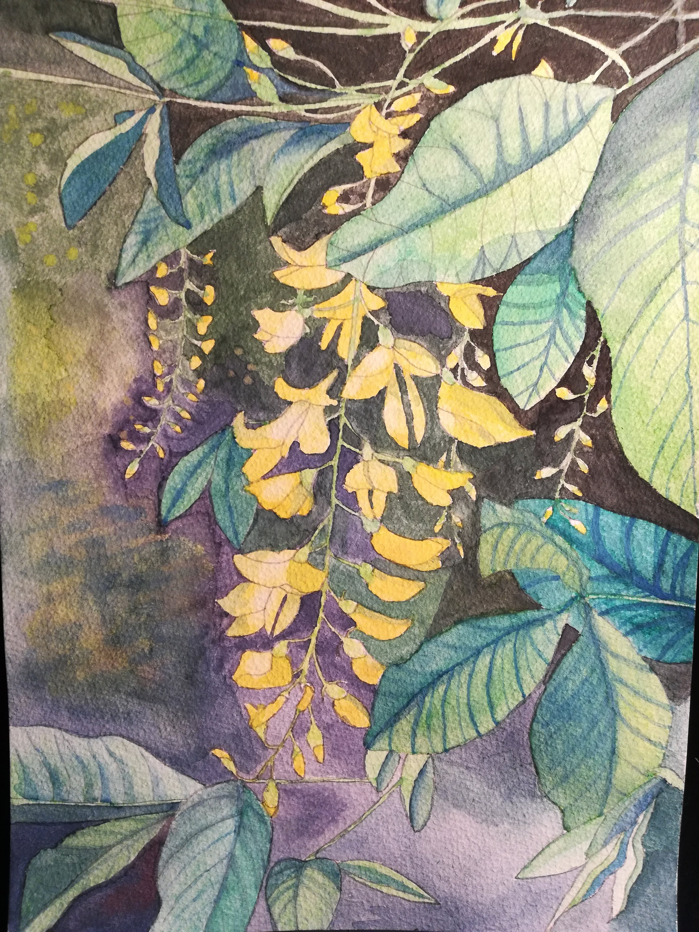 Original Laburnum Painting, Laburnum Watercolour Painting, Laburnum ...