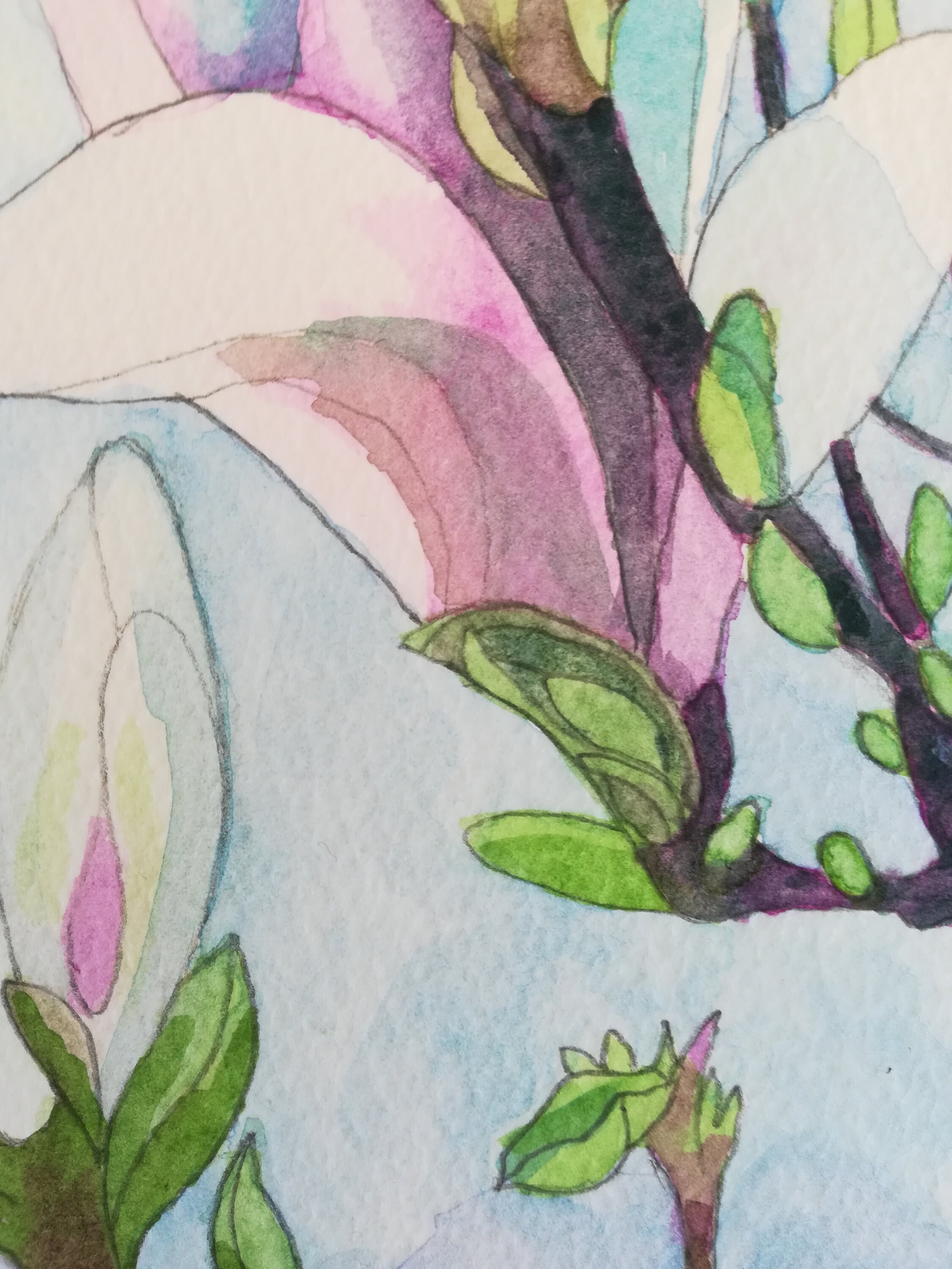 Magnolias Watercolour Painting,magnolias Wall Art,magnolias, Magnolia ...