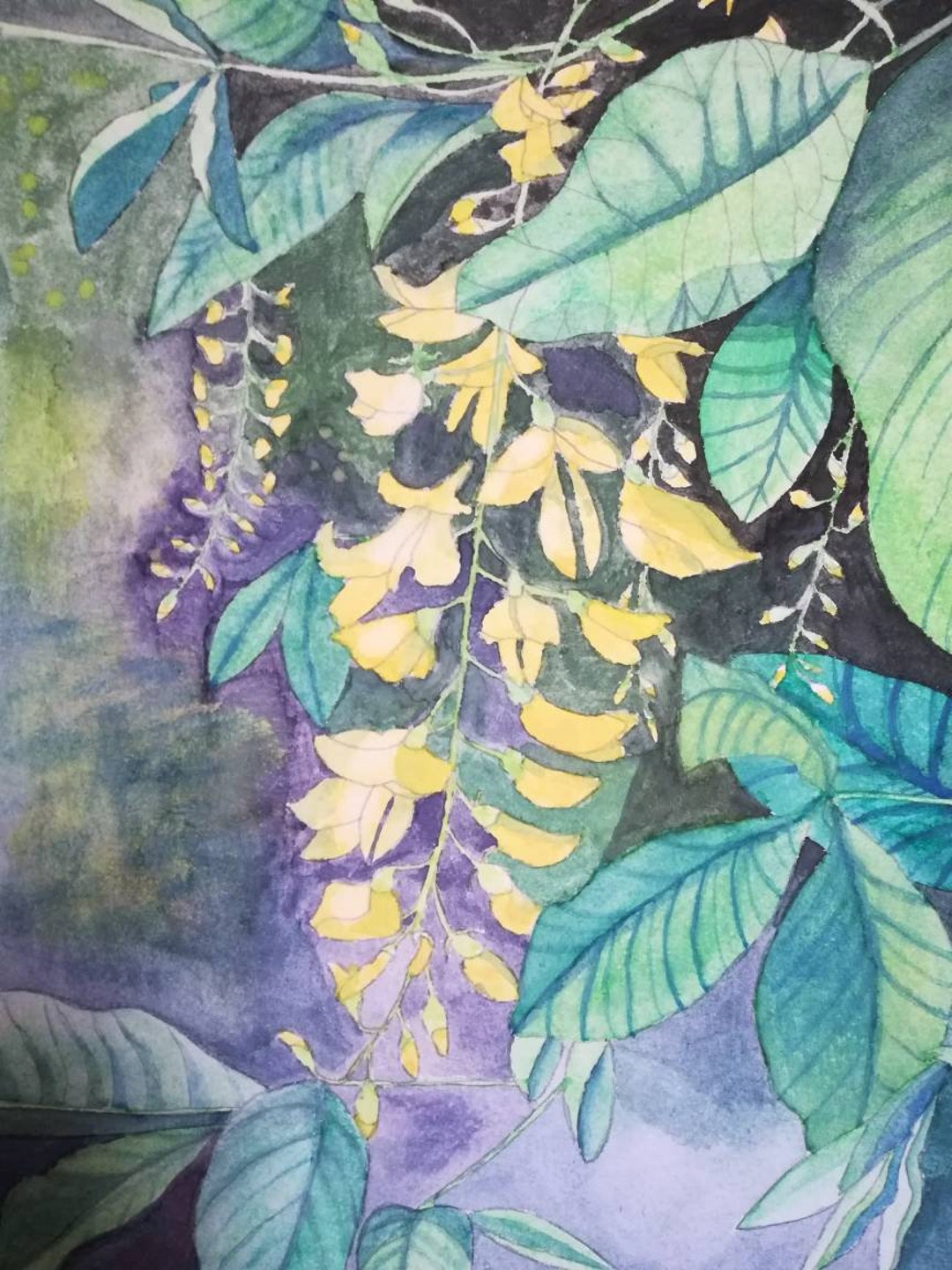 Original Laburnum Painting, Laburnum Watercolour Painting, Laburnum ...