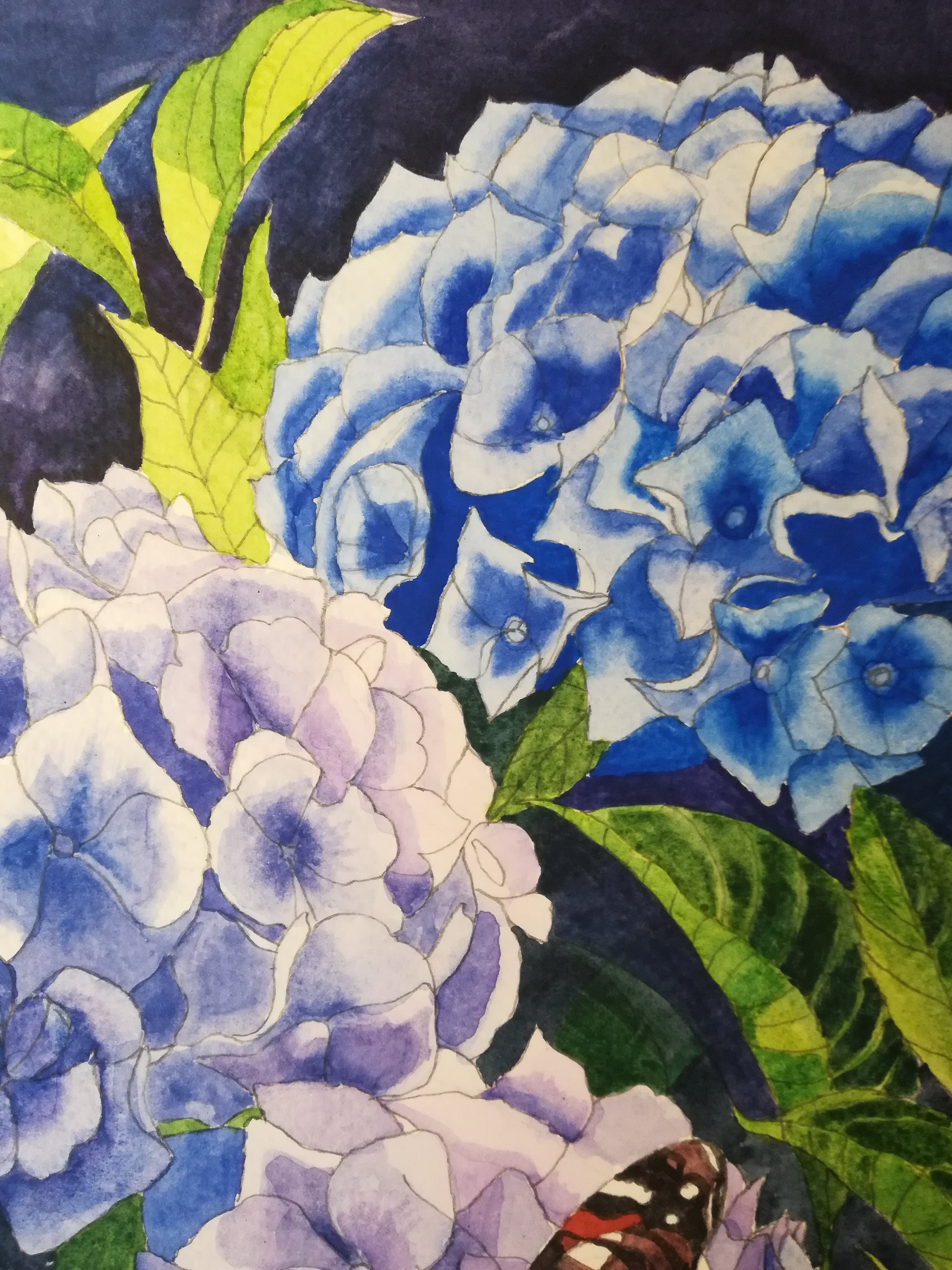 Blue Hydrangeas Watercolour Painting,hydrangeas Watercolour,hydrangea ...