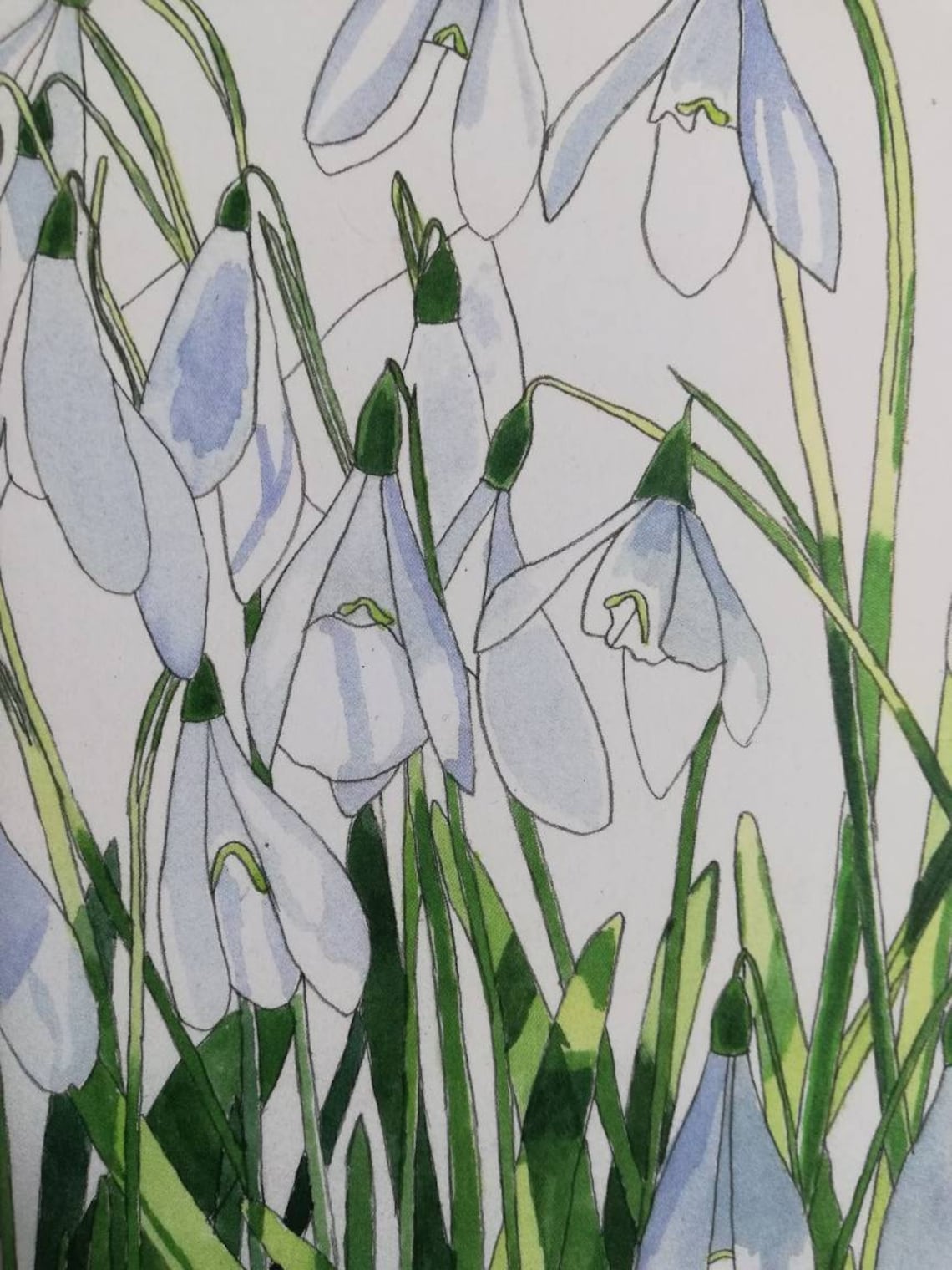 Snowdrops Card Snowdrops Flower Card Snowdrops Painting - Etsy