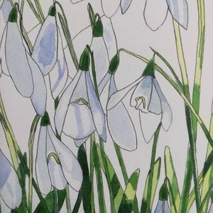Snowdrops Card, Snowdrops Flower Card, Snowdrops Painting, Flowers ...
