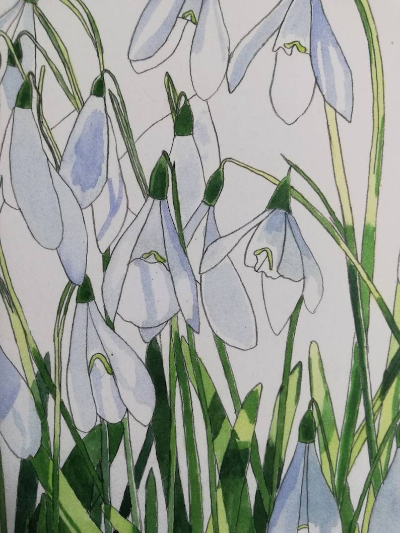 Snowdrops Card, Snowdrops Flower Card, Snowdrops Painting, Flowers ...
