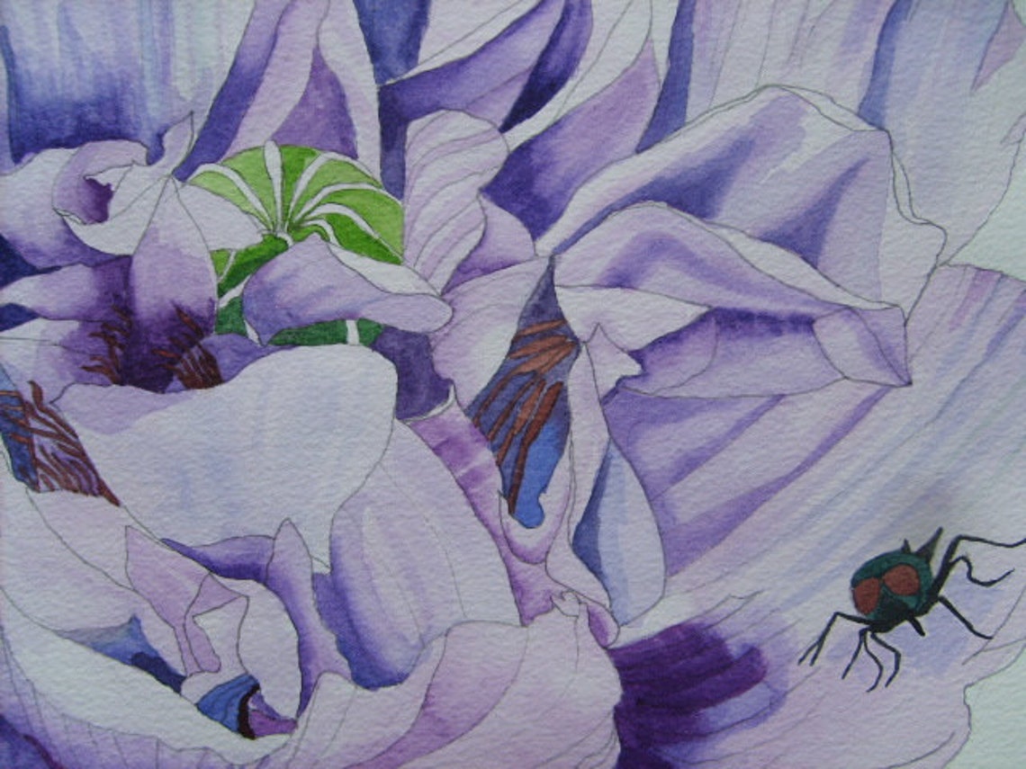 Purple Poppy, Purple Poppies,watercolour Original Flower Painting ...