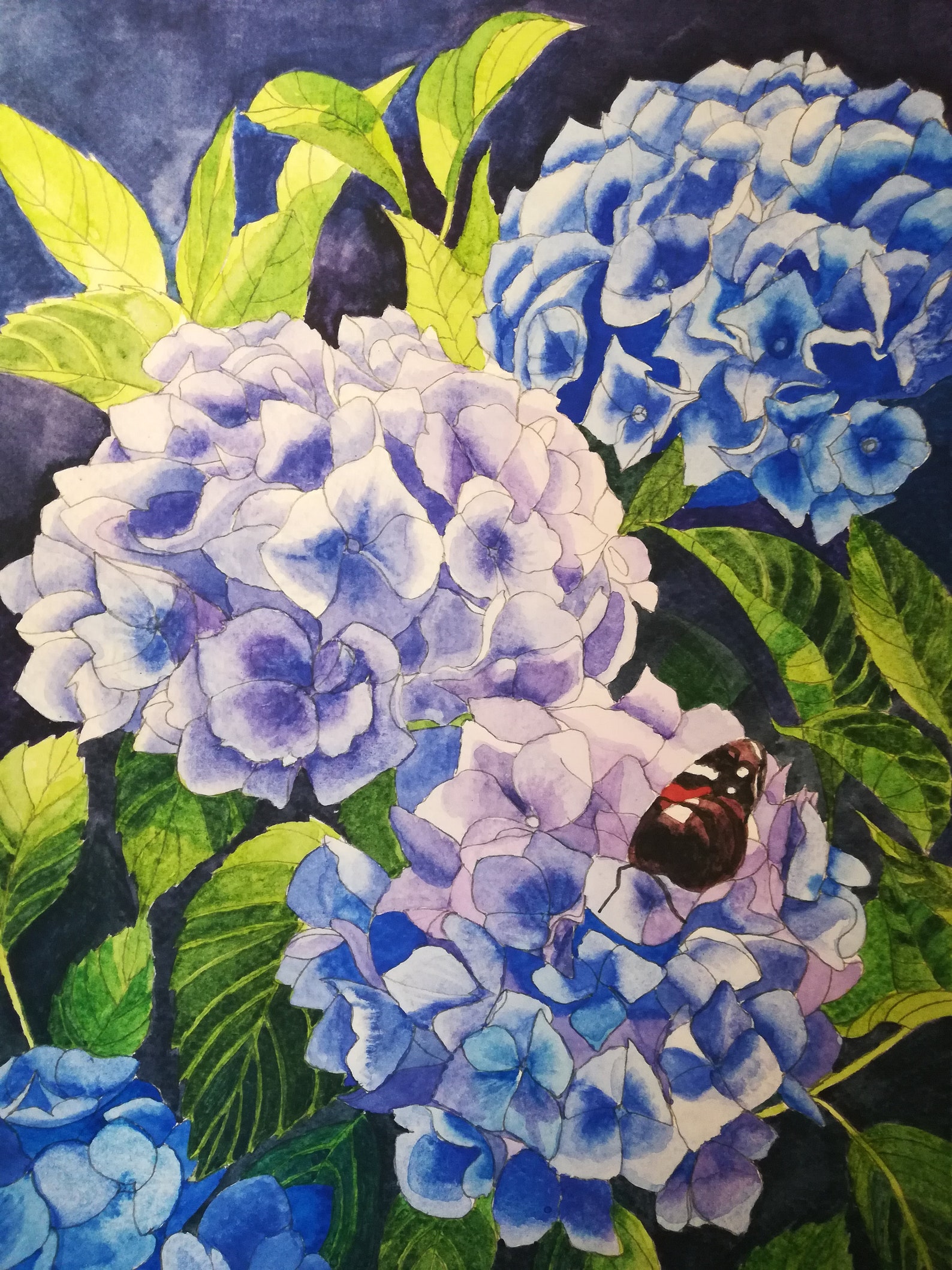 Blue Hydrangeas Watercolour Painting,hydrangeas Watercolour,hydrangea ...