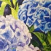 Blue Hydrangeas Watercolour Painting,hydrangeas Watercolour,hydrangea ...
