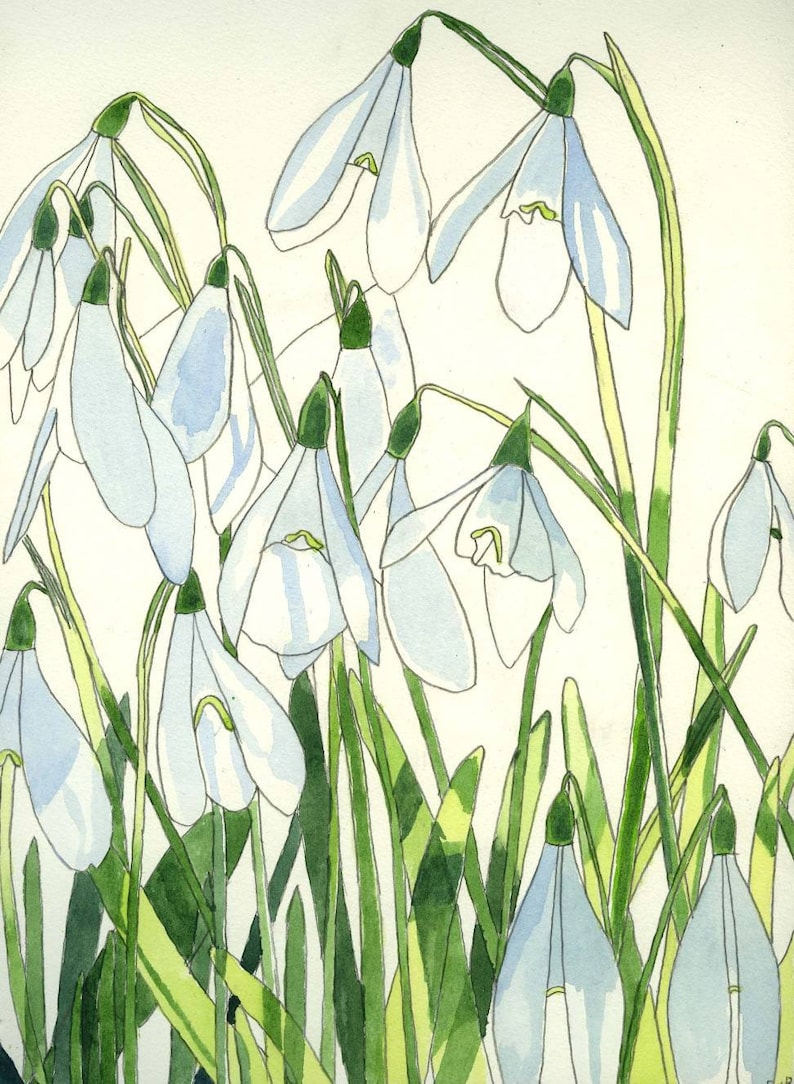 Snowdrops Print, Snowdrops Watercolour, Snowdrops Watercolor, Snowdrops ...