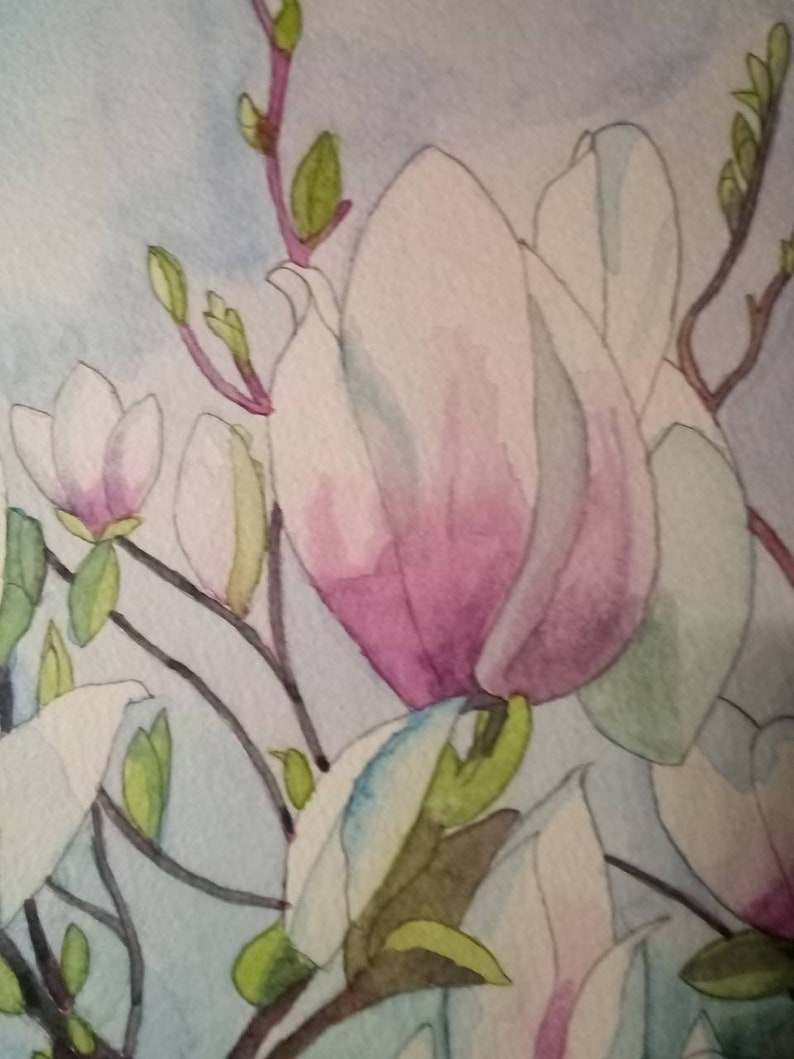 Magnolias Watercolour Paintingmagnolias Wall Artmagnolias - Etsy