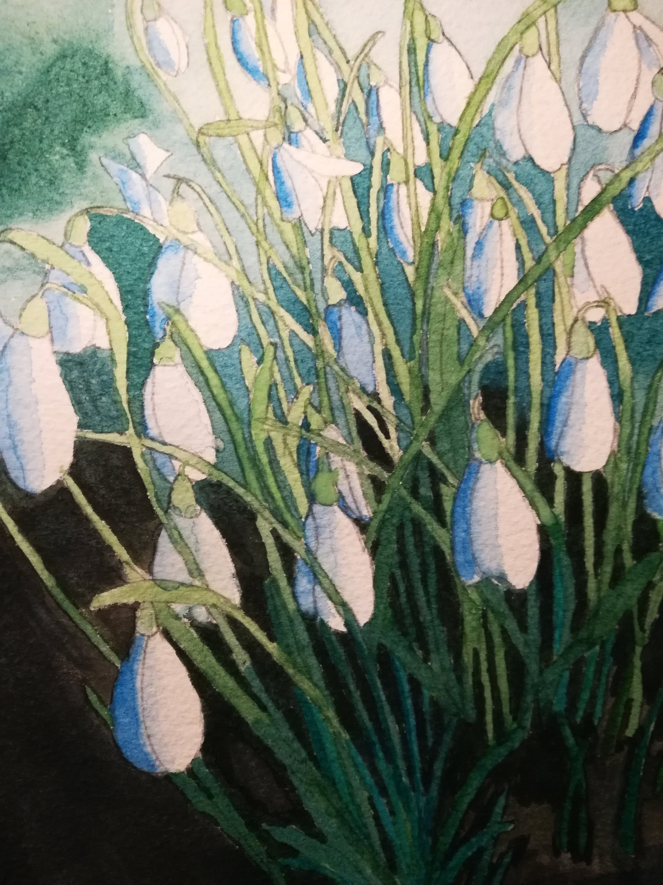 Snowdrops Painting, Snowdrops Watercolour Painting, Snowdrops ...