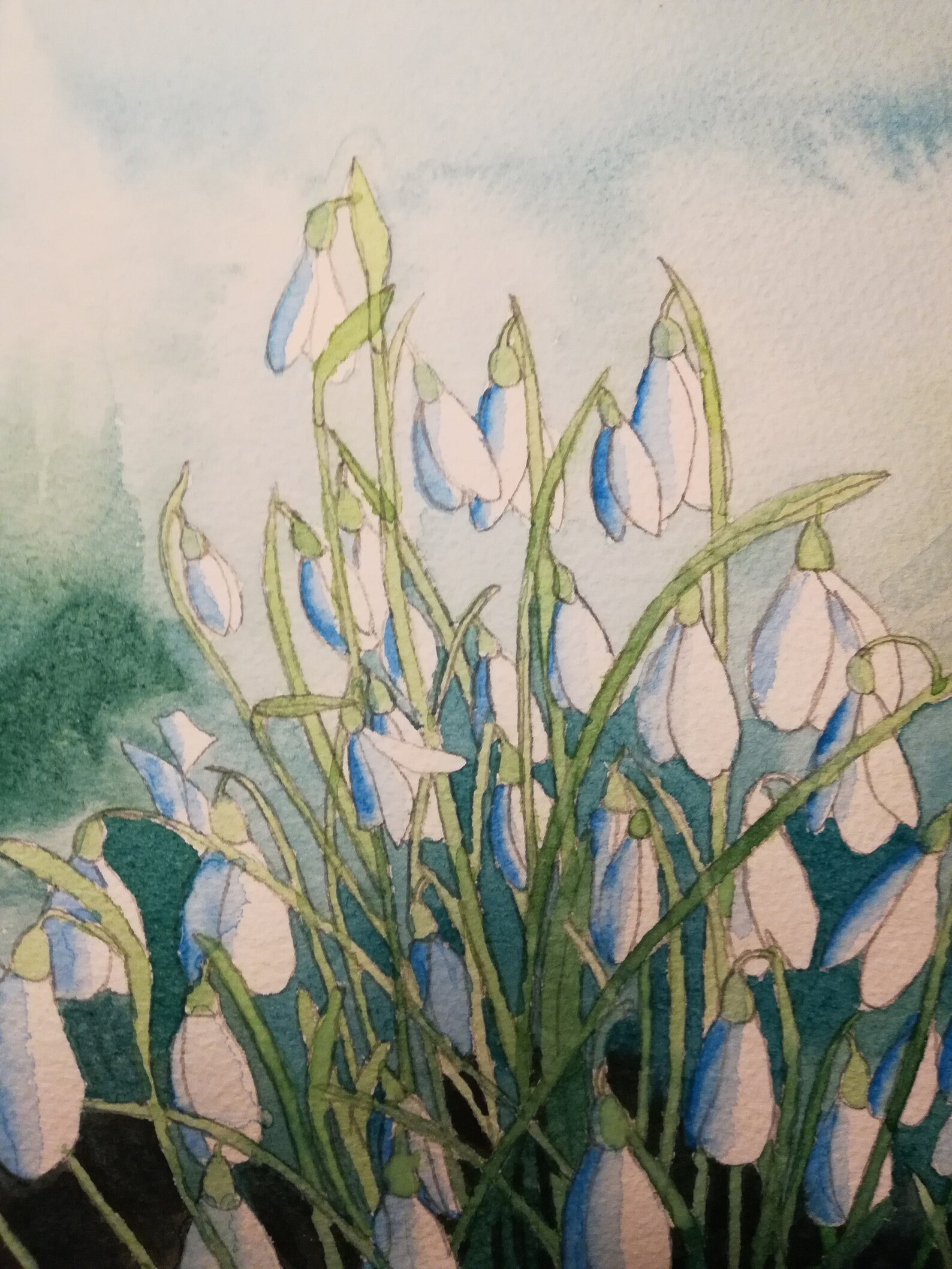 Snowdrops Painting, Snowdrops Watercolour Painting, Snowdrops ...