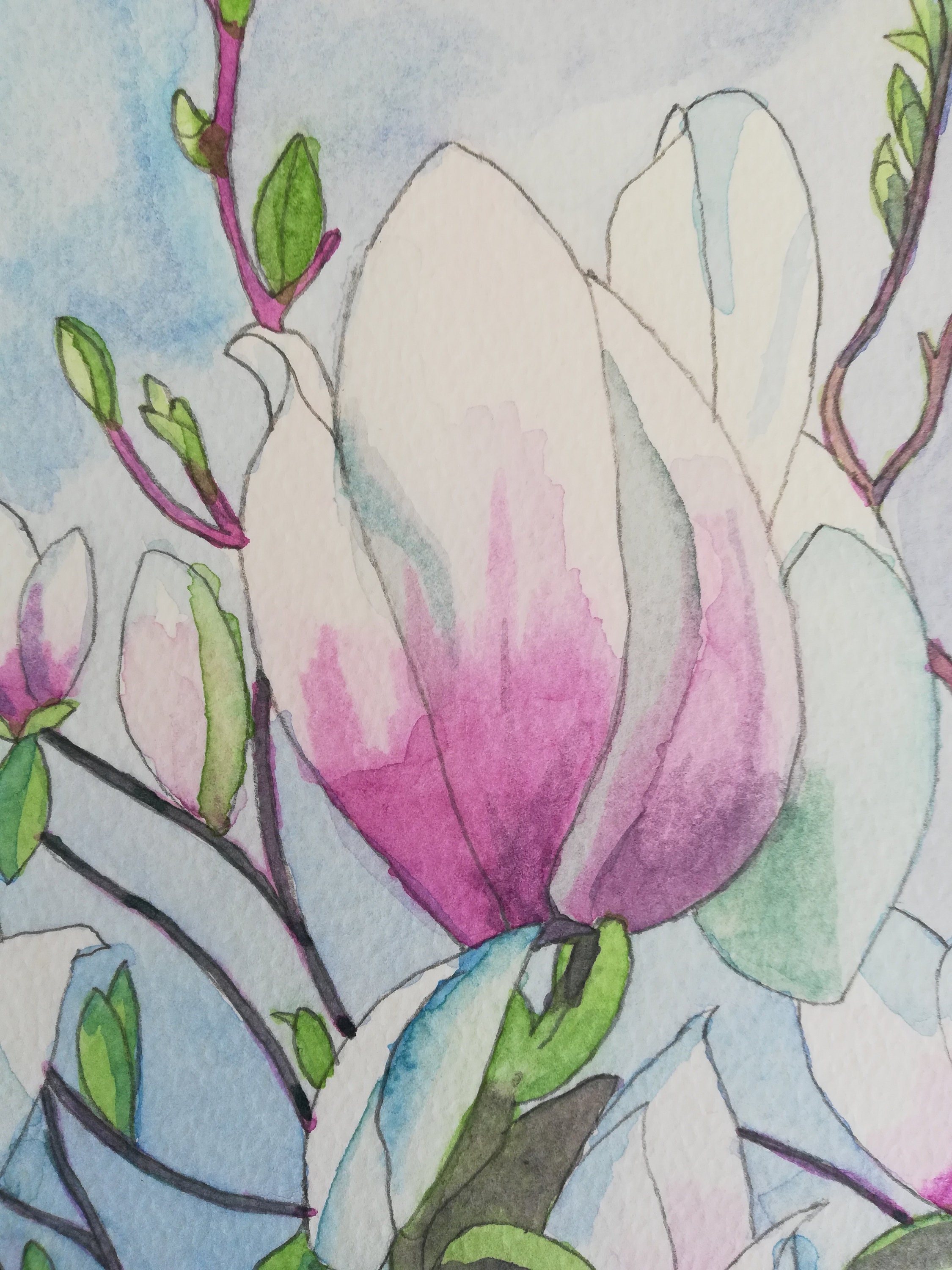 Magnolias Watercolour Painting,magnolias Wall Art,magnolias, Magnolia ...