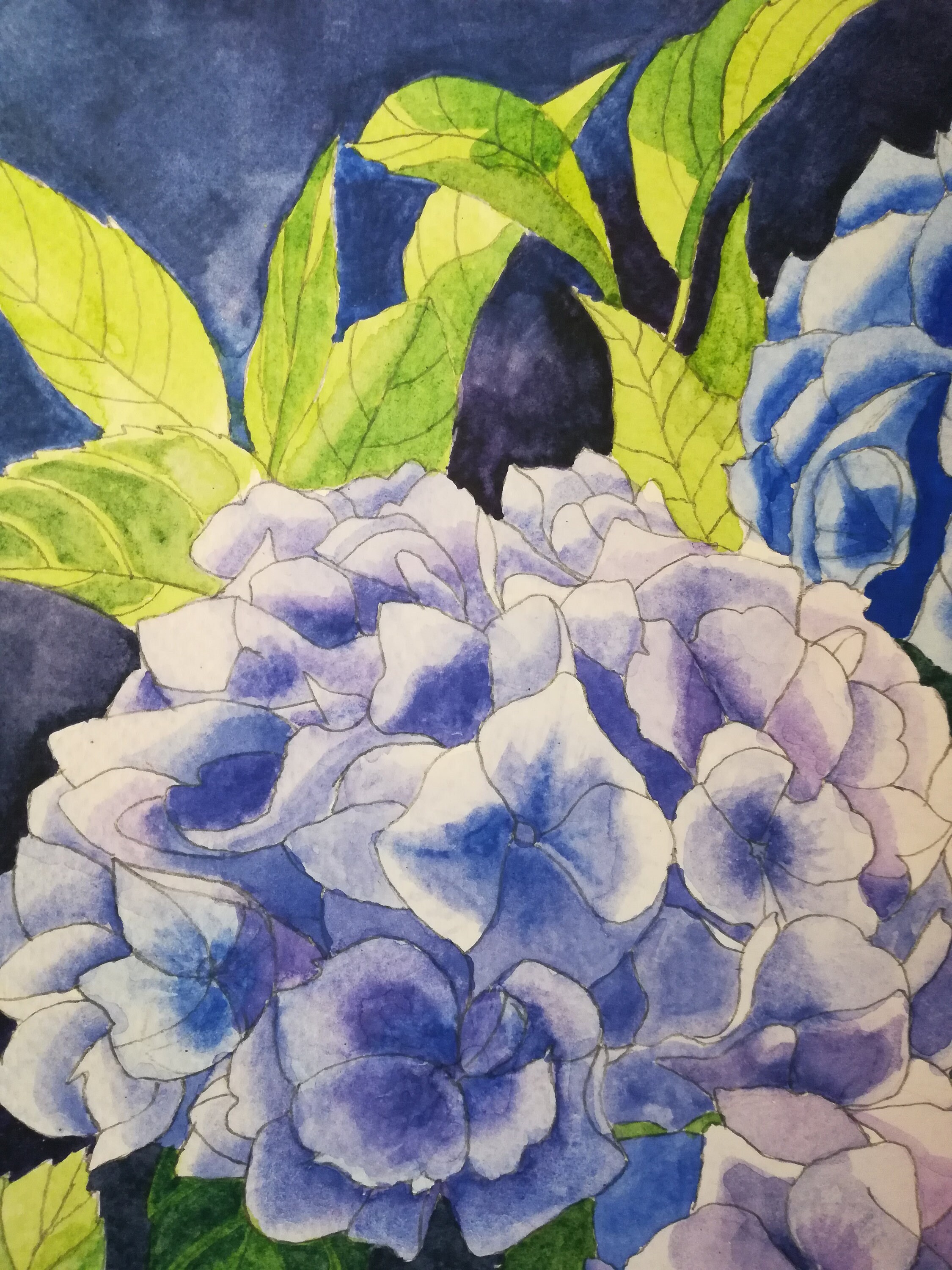 Blue Hydrangeas Watercolour Painting,hydrangeas Watercolour,hydrangea ...