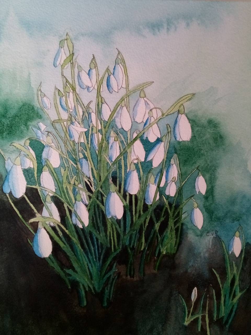Snowdrops Painting Snowdrops Watercolour Painting Snowdrops - Etsy UK