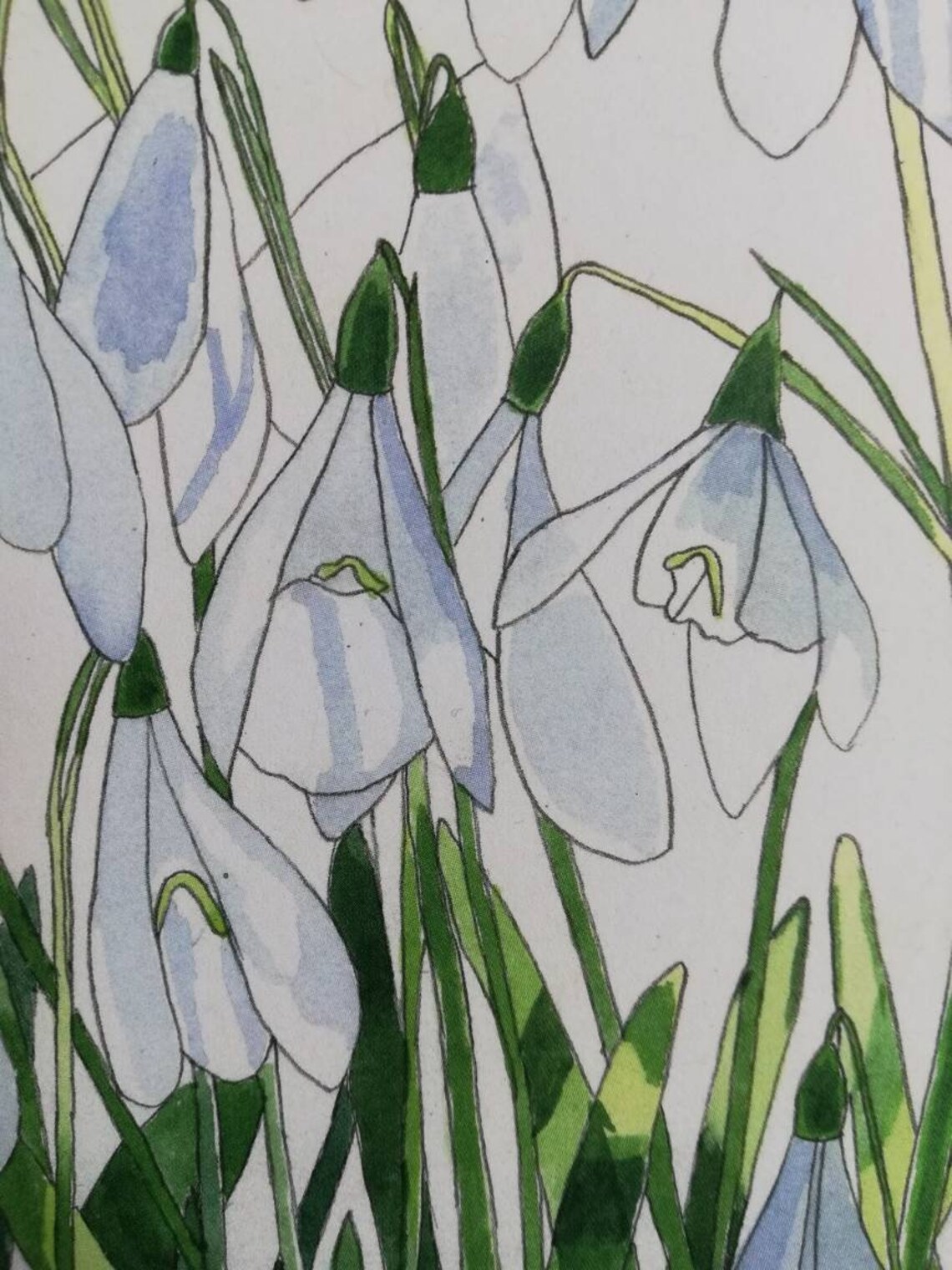 Snowdrops Card Snowdrops Flower Card Snowdrops Painting - Etsy