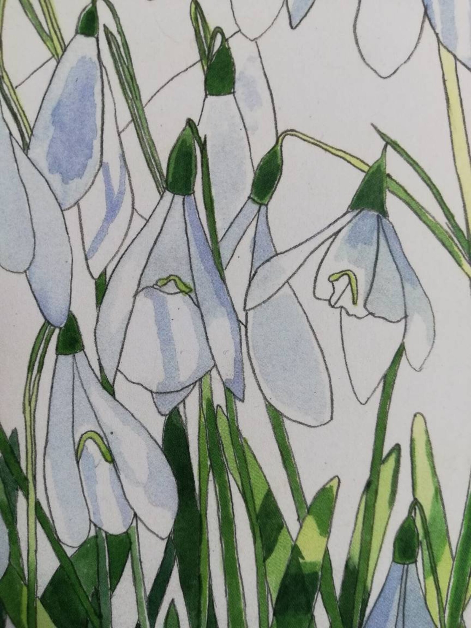 Snowdrops Card Snowdrops Flower Card Snowdrops Painting - Etsy