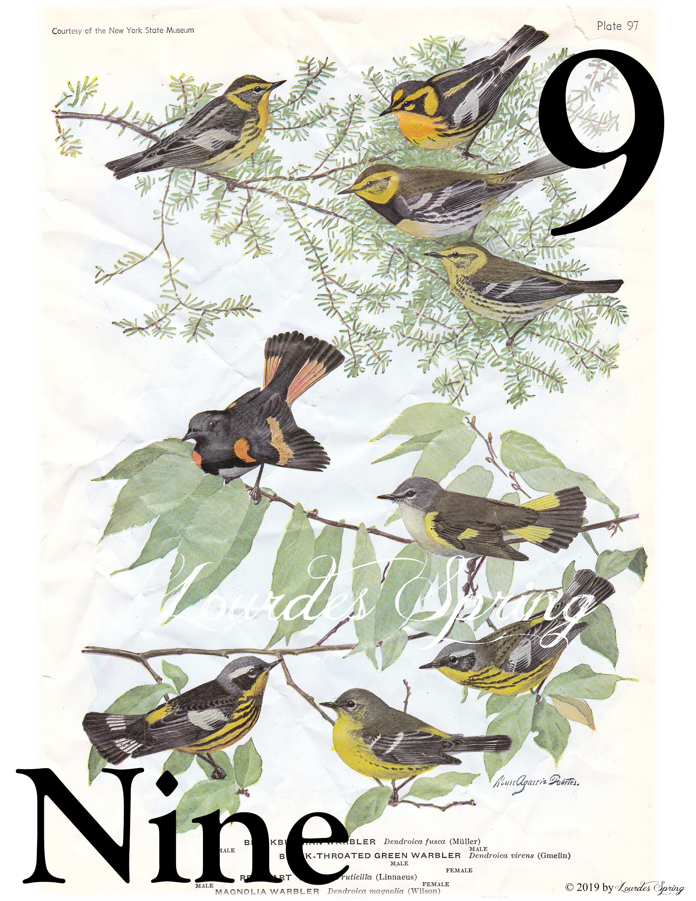 Vintage Bird Counting Cards, Number Wall Art, Printable PDF Download - Etsy