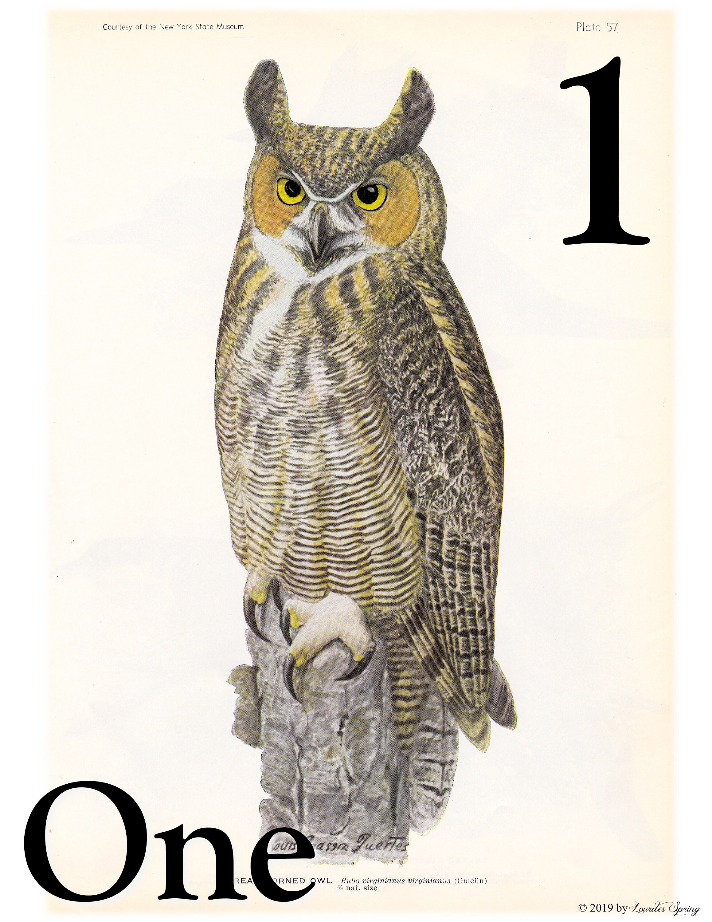 Vintage Bird Counting Cards, Number Wall Art, Printable PDF Download - Etsy