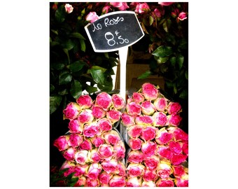 Frilly Rose Photo Flower Petals Nature Photography Home | Etsy