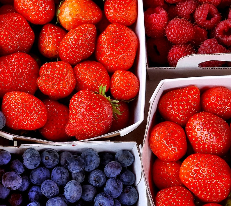 Luscious Fruit Photo French Market Kitchen Art Home Decor - Etsy