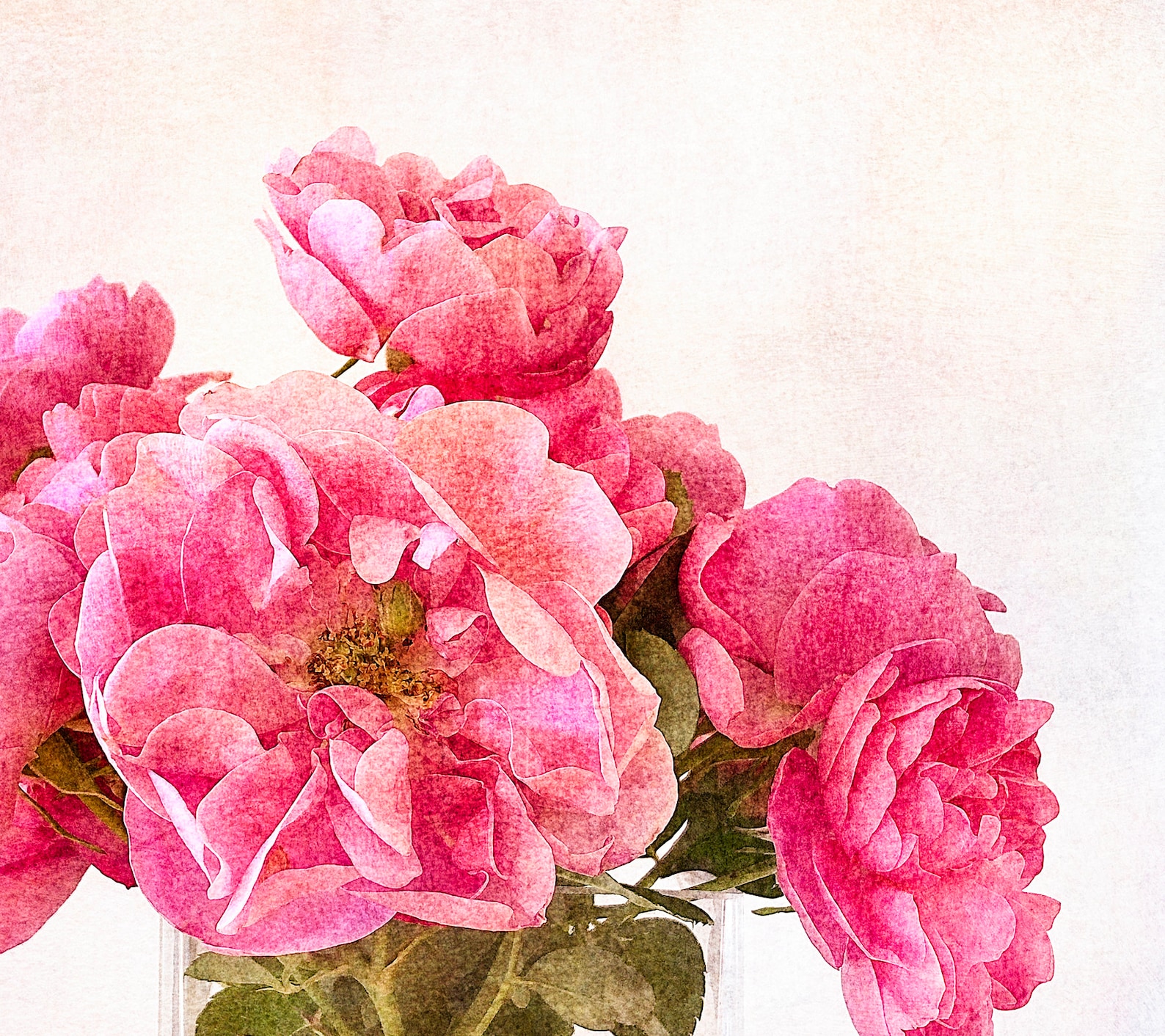 Luscious Roses Photo Birthday Anniversary Gift for Her - Etsy