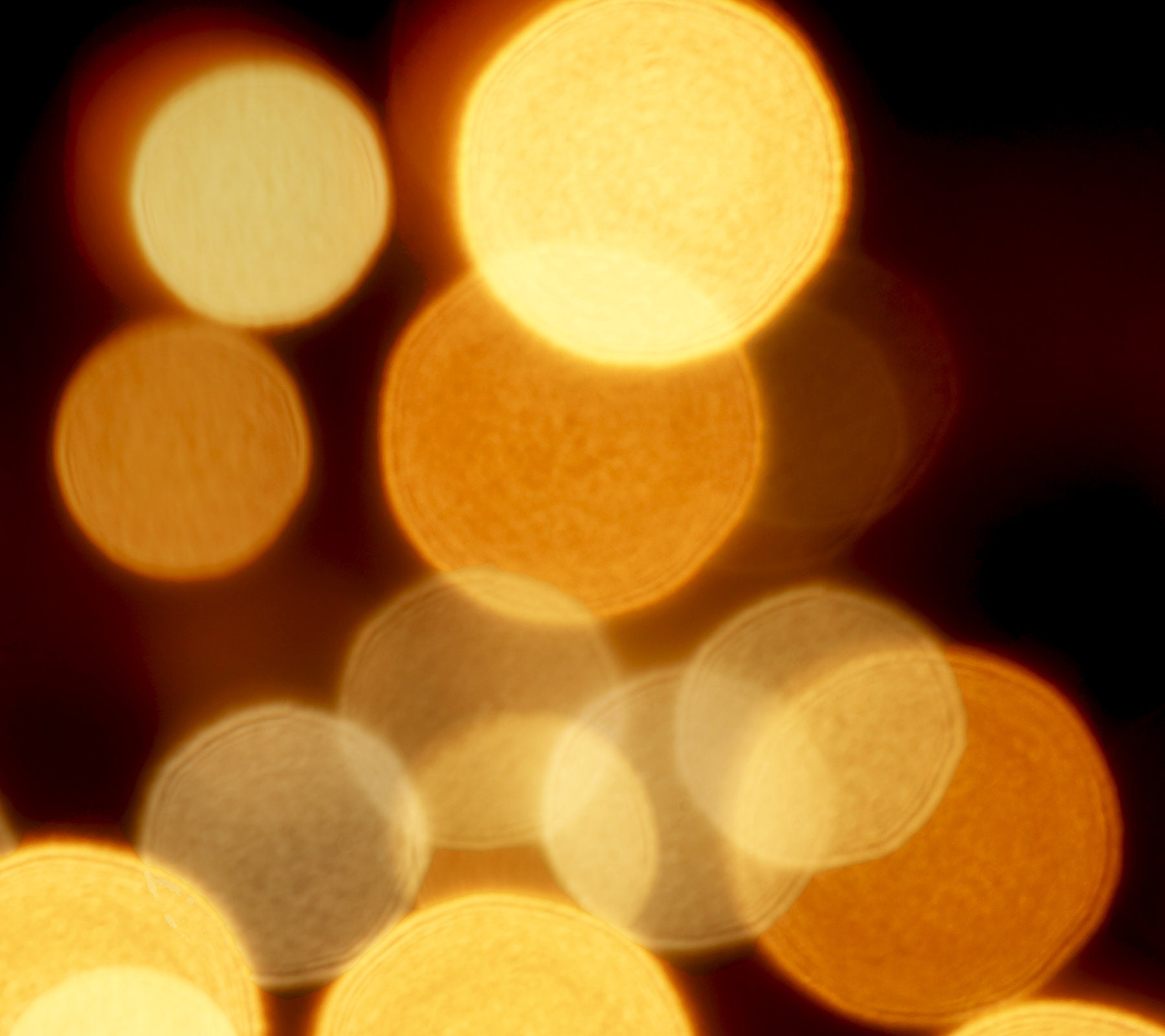 Sparkling Lights Photo, Mystery, Magic, Romance, Night, Black Gold Home ...