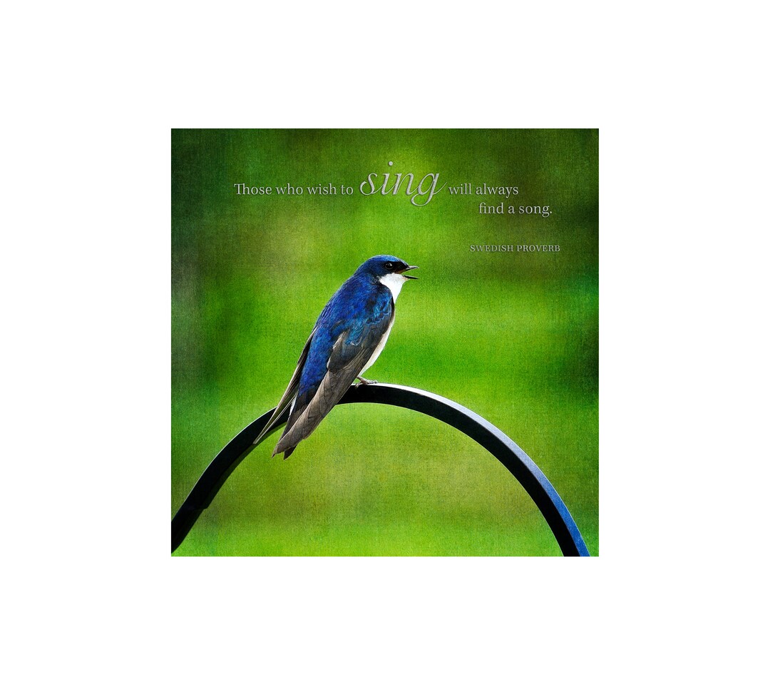 Wish to Sing, Inspirational Quote, Bird, Ypography, Cottage Decor ...