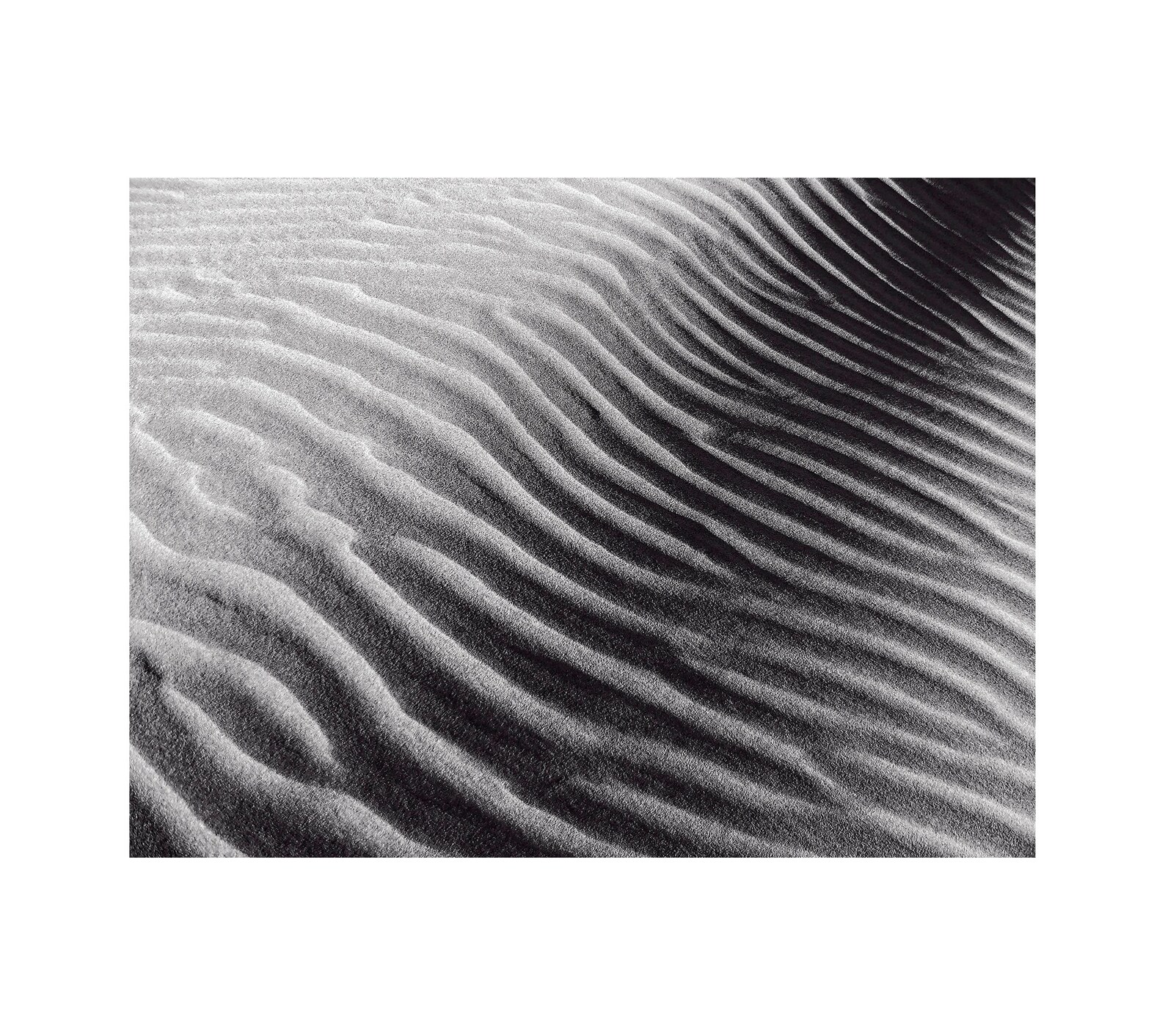 Zebra Stripes, Sand Dune Photography, Abstract Art, Black and White ...