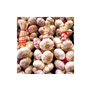 French Market Photo, Pink Garlic, Kitchen Art, Food Photography, France ...