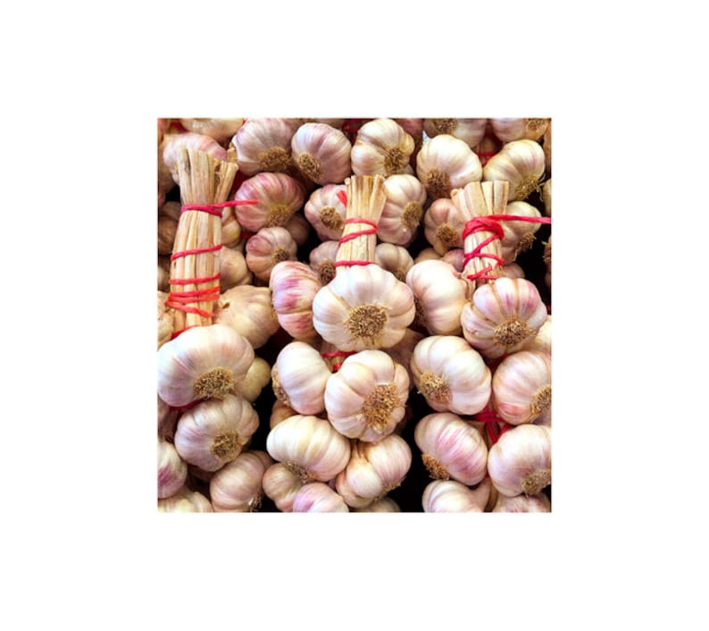 French Market Photo, Pink Garlic, Kitchen Art, Food Photography, France ...