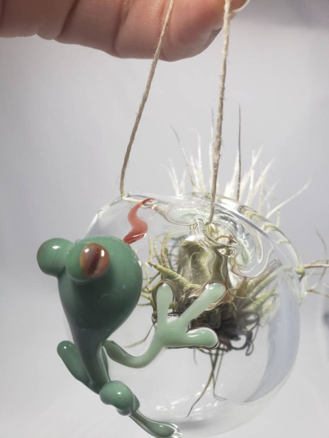 Mint Frog Terrarium | Etsy