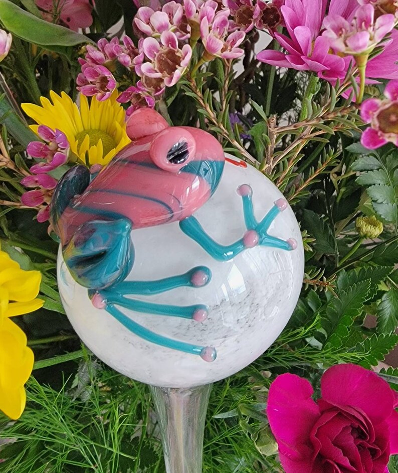 Super Swirl Frog Watering Bulb - Etsy