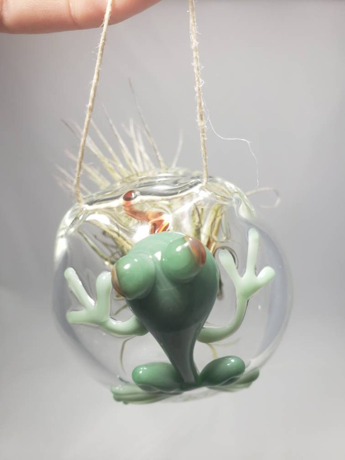 Mint Frog Terrarium | Etsy