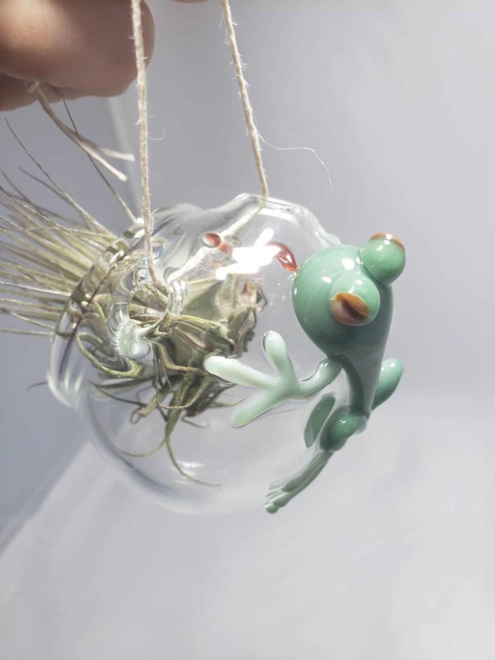 Mint Frog Terrarium | Etsy