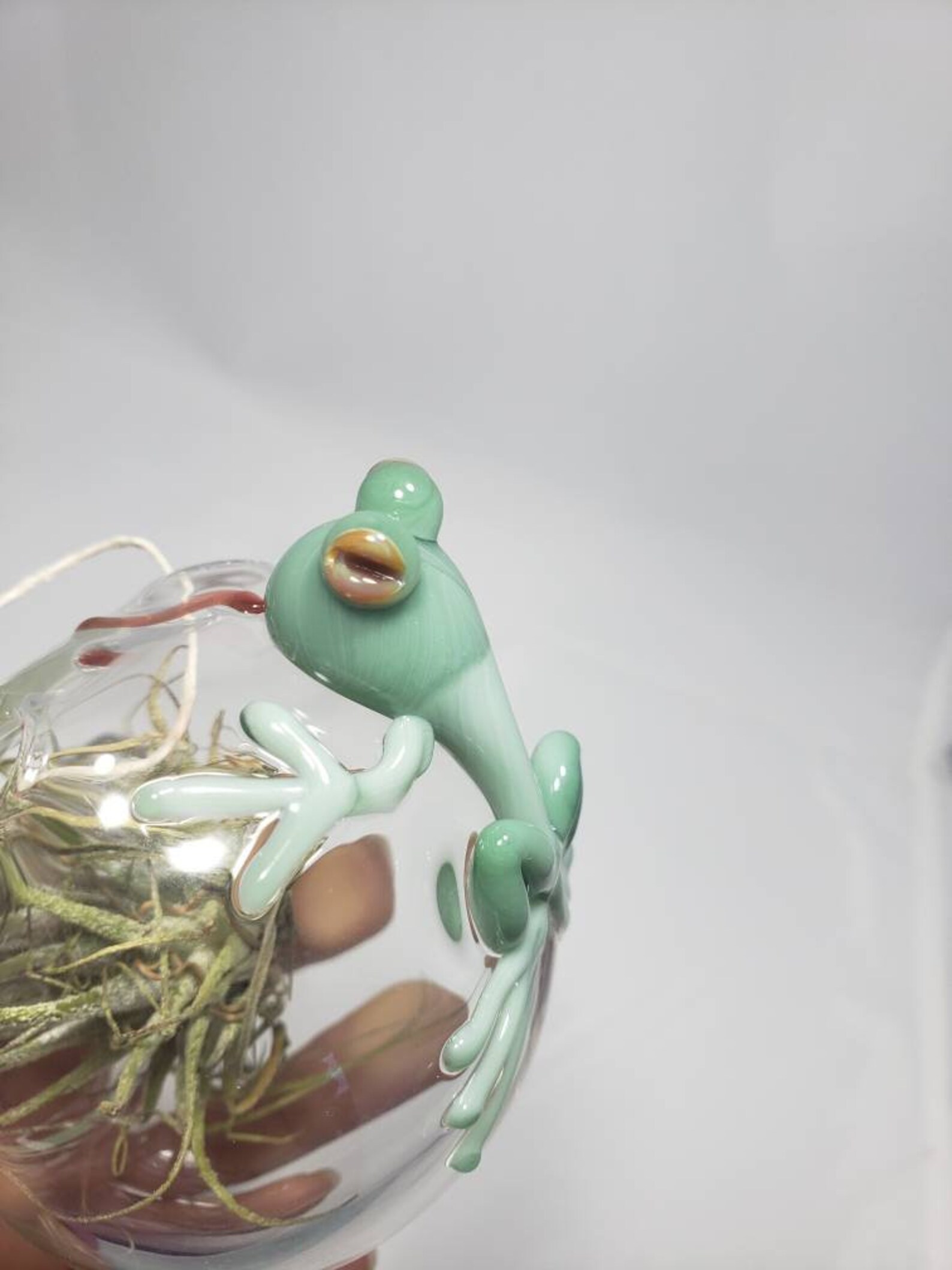 Mint Frog Terrarium | Etsy