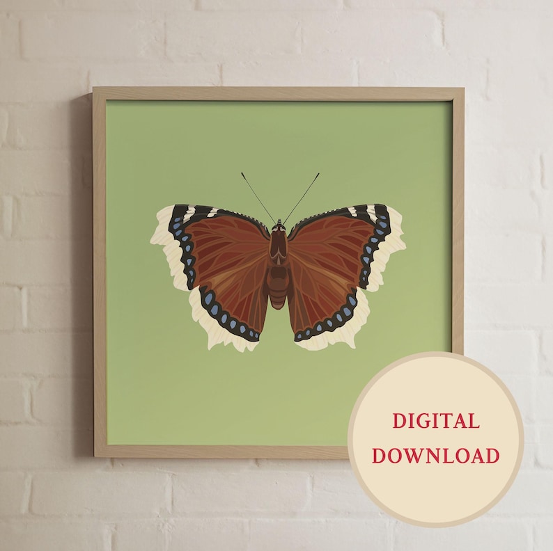 Mourning Cloak Square Butterfly Poster Green - Digital File - Etsy