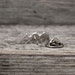 Three Sisters Mountain Pin - Etsy