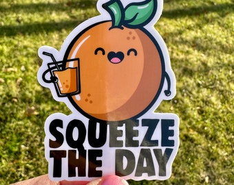 SQUEEZE THE DAY Orange Sticker, Fruit Theme Sticker, Bold Fun Font ...