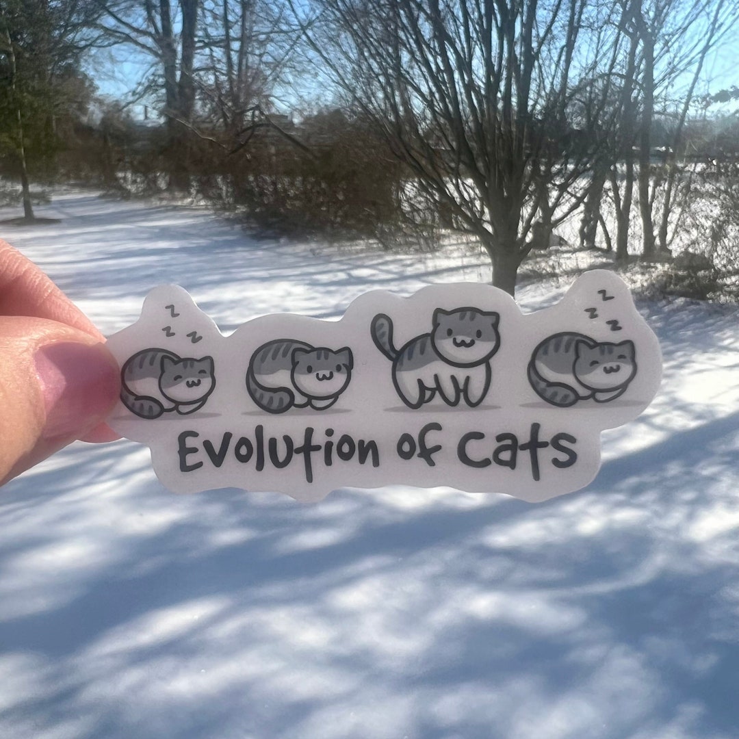 Evolution of Cats Sticker - Etsy