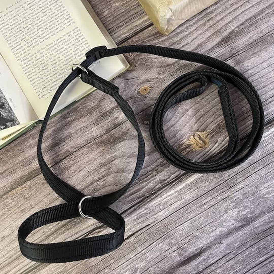 Figure 8 Dog Anti-pull Head Halter Nose Muzzle Nose Lead - Etsy
