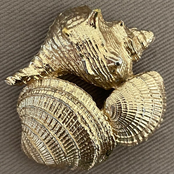 Seashell Brooch - Etsy