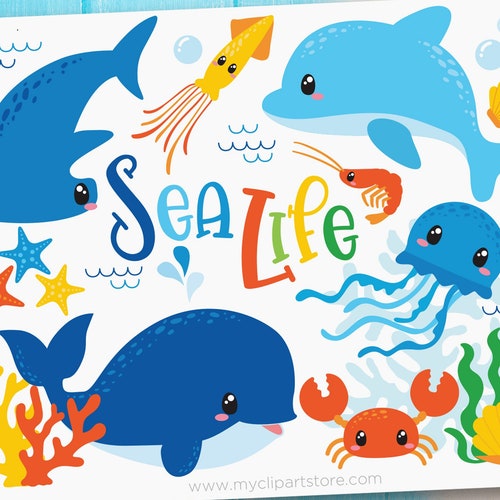Sea Life Clipart Set. Ocean Animals and Summer Clipart Bundle - Etsy Israel