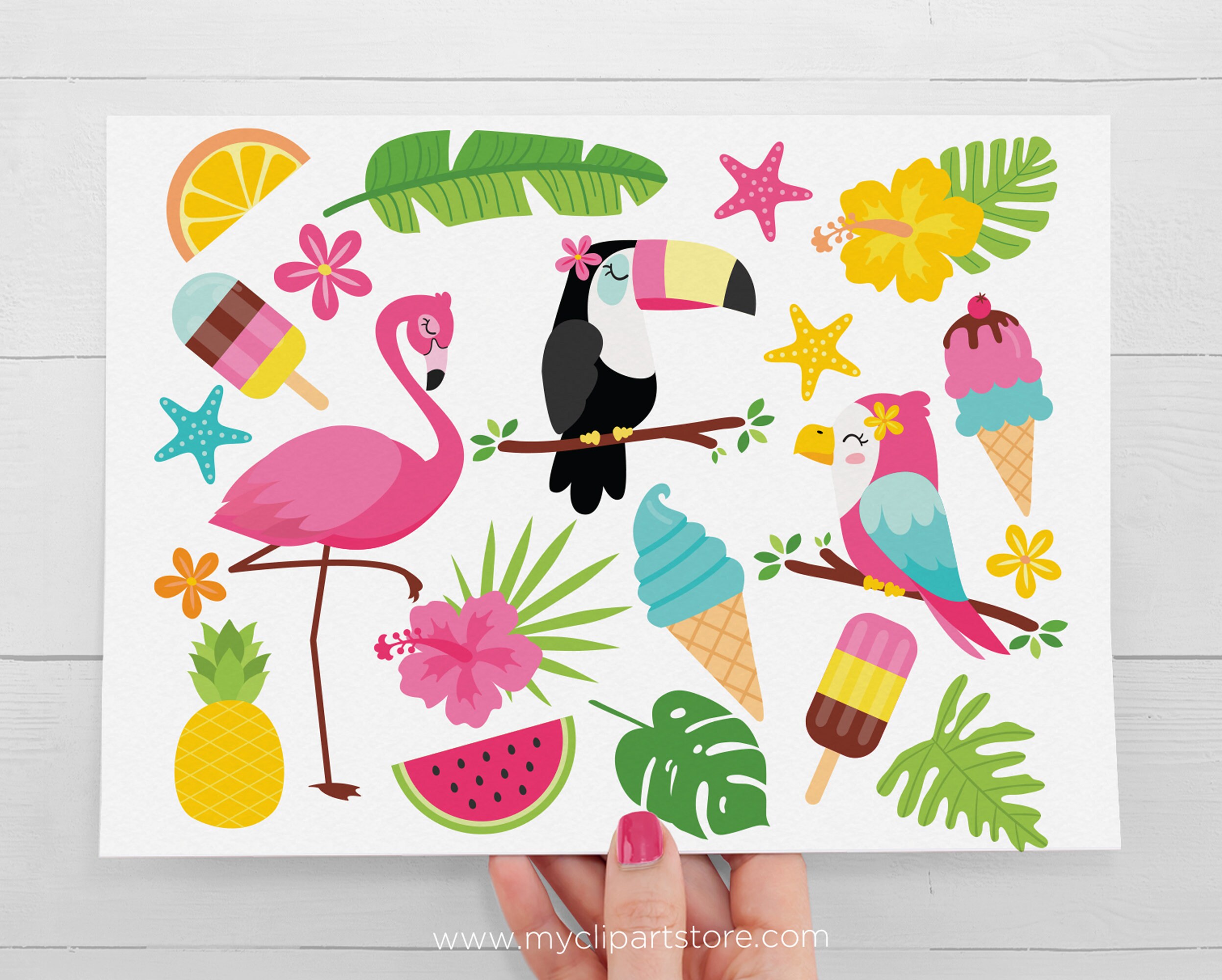 Tropical Summer Clipart Flamingo Clip Art Toucan Svg - Etsy