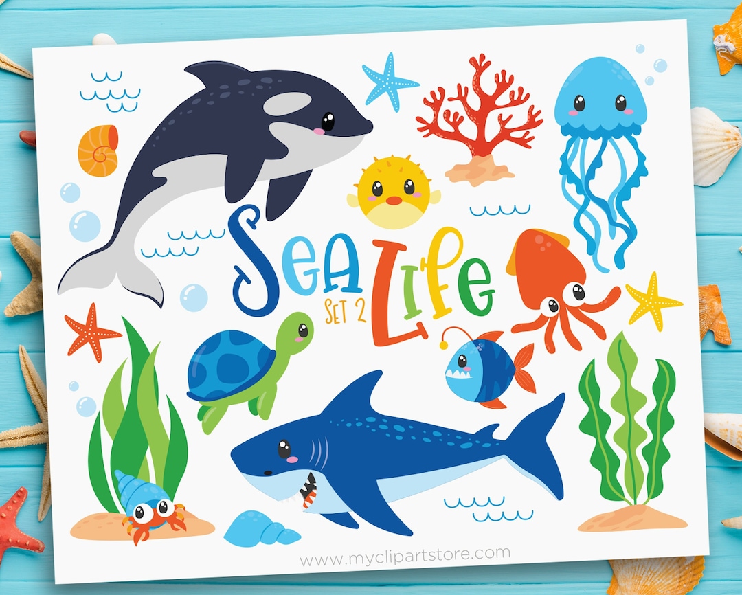 Sea Life Clipart Shark Svg Whale Clipart Under the Sea - Etsy