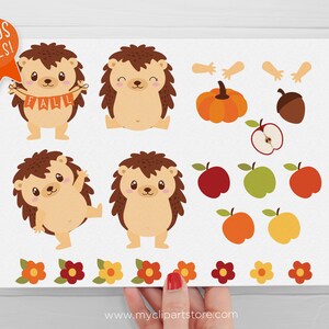 Cute Hedgehog Svg, Fall Animals Clipart, Autumn Clipart, Woodland ...
