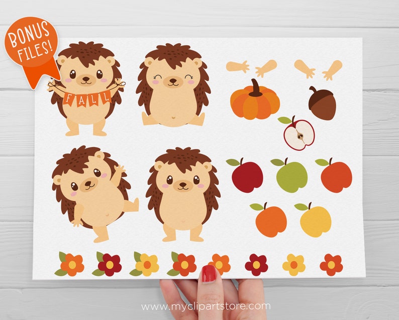 Cute Hedgehog Svg Fall Animals Clipart Autumn Clipart - Etsy