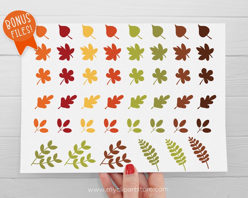Cute Hedgehog Svg Fall Animals Clipart Autumn Clipart - Etsy