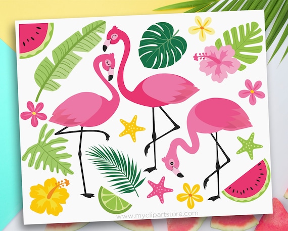 Floral Clipart Commercial Use Sublimation PNG Flamingo Clipart Tropical ...