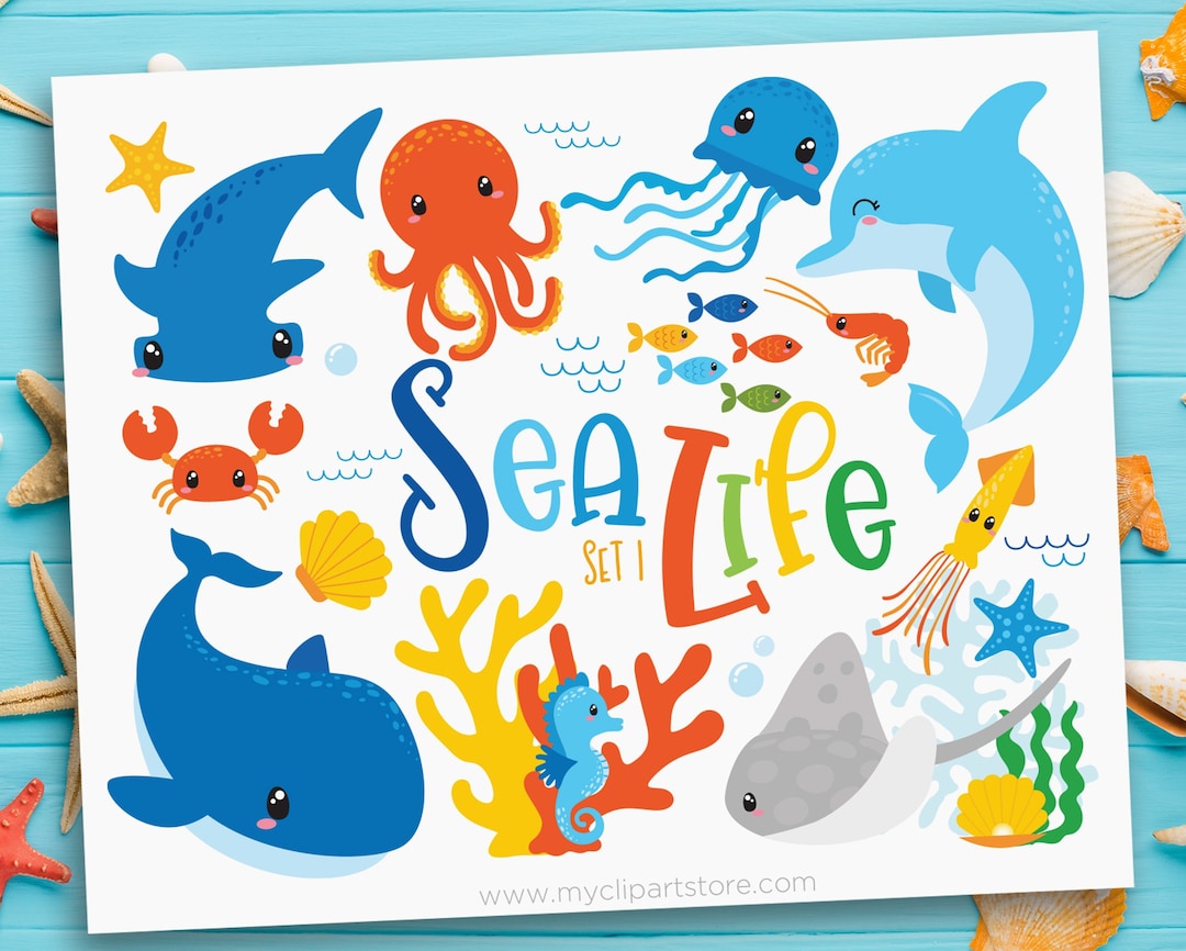 Ocean Life Clipart, Hammerhead Shark, Whale Svg, Dolphin, Crab, Under ...