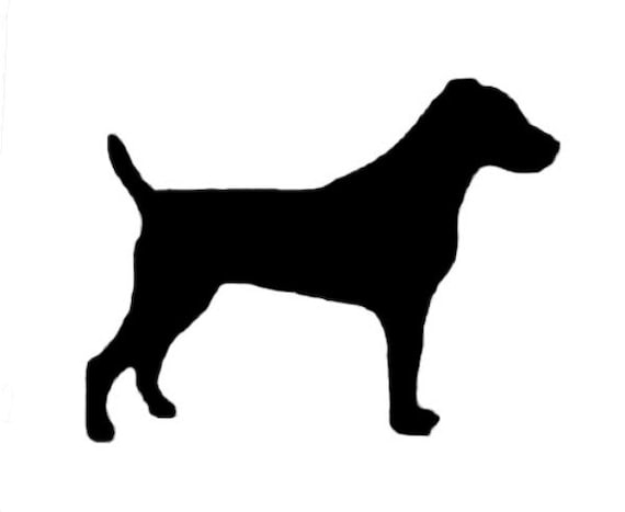 Black Parson Russell Terrier