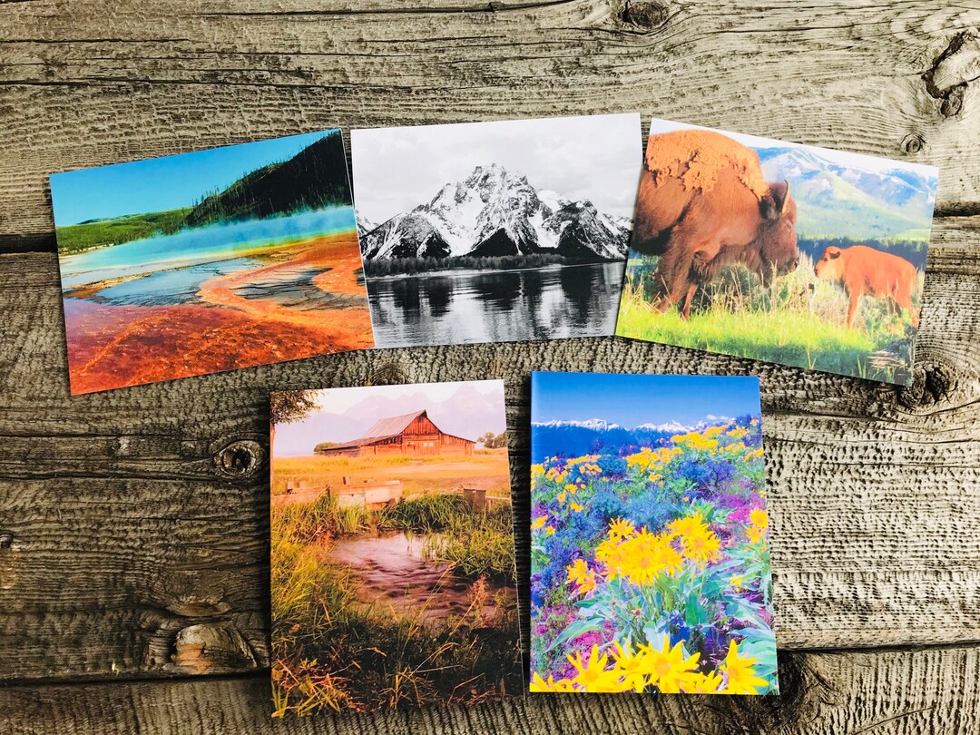 Grand Teton and Yellowstone National Park Greeting Card Set, Five Cards ...